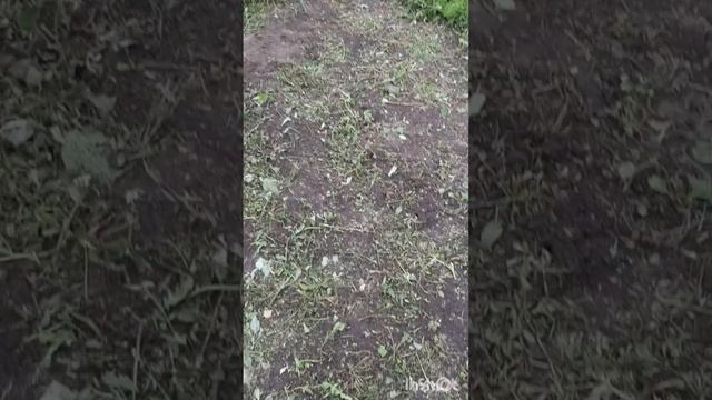 Дом и двор.Сборник интересных моментов на эту тему.Фильм10.Серия2