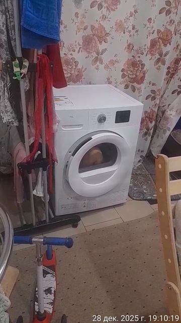 7 лет, 2 мес.Серёжа в сушильной машине (28 дек.2025).mp4