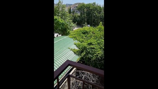 Номер 14 этаж 3 на 2 человека. Гостевой дом Баттерфляй. Судак.