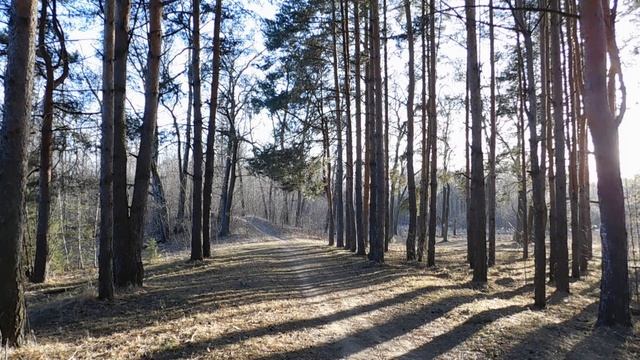 Светлая песня..