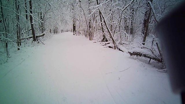 Ромашково. 28/12/2025. Агрегатная прямая