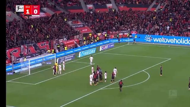 Байер-Фрайбург