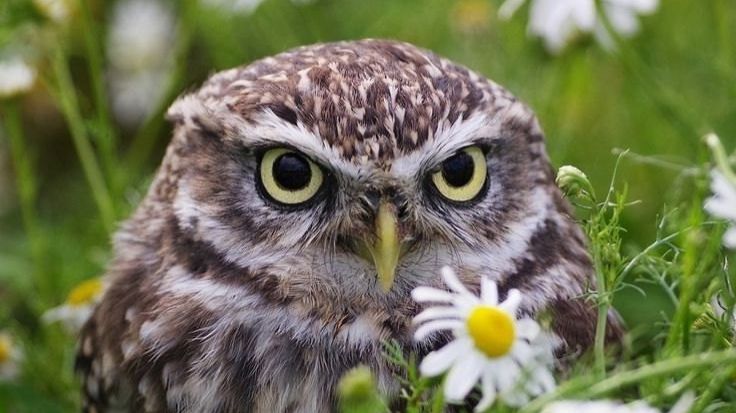 Мини-курс по интегральной геометрии: часть 1