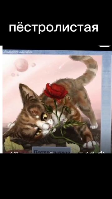 Коты воители.(Не мое) Я только имена персонажей добавил