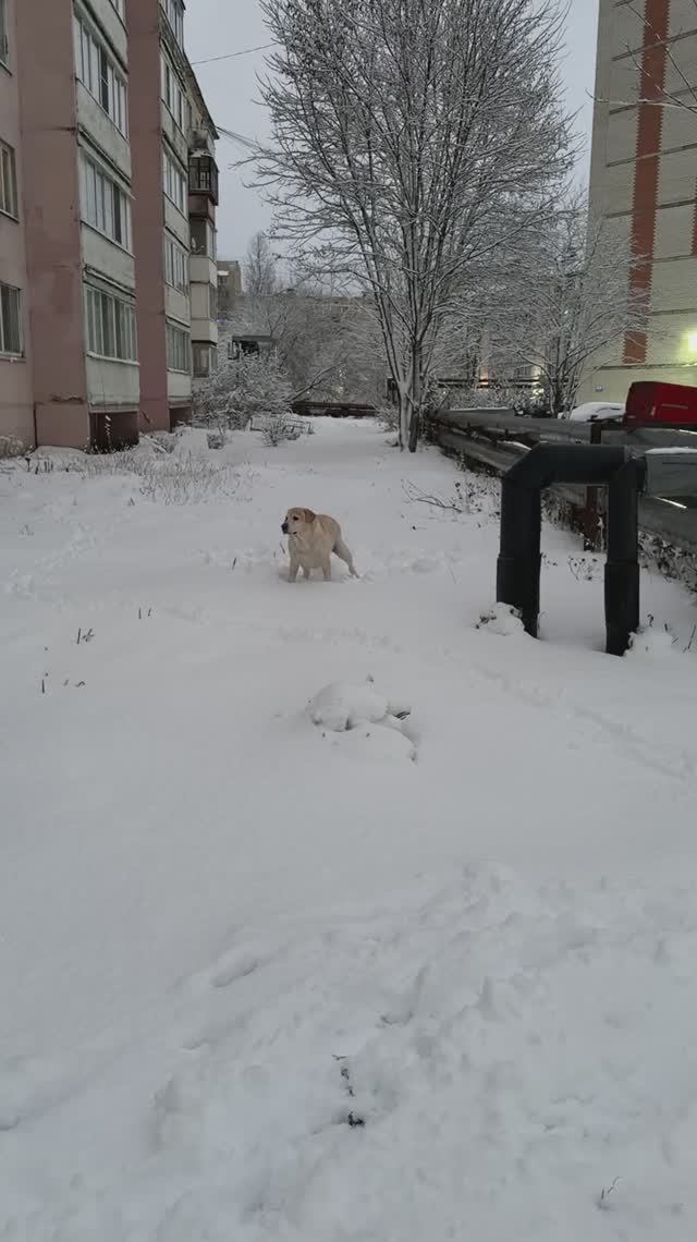 Уля anzl.ru радуется снегу