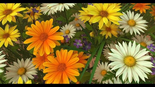 Masterminds Of Miracles 021 (Enigma) Part 2