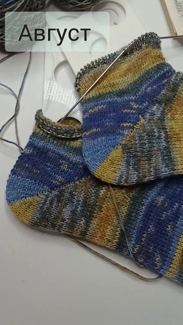 Август. Носочный календарь 2025