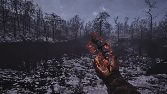 С.Т.А.Л.К.Е.Р. 2 -Аномалия Горящий яр