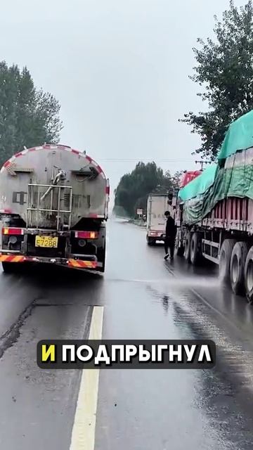 Маленькая вежливость на большой дороге