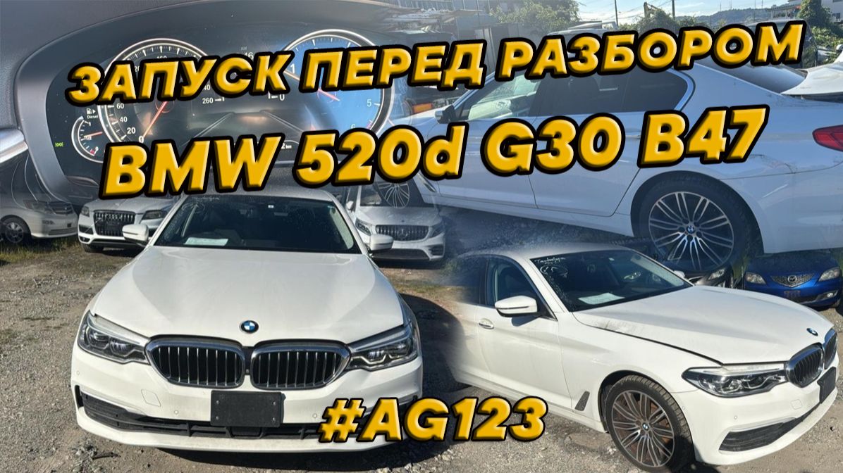 T7061BMW 5 G30 гибрид. Запуск перед разбором. Запустили