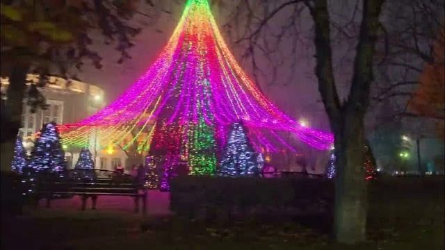 Новый год с пушистой ёлкой диско (9)