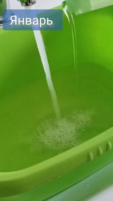 Январь. Носочный календарь 2025