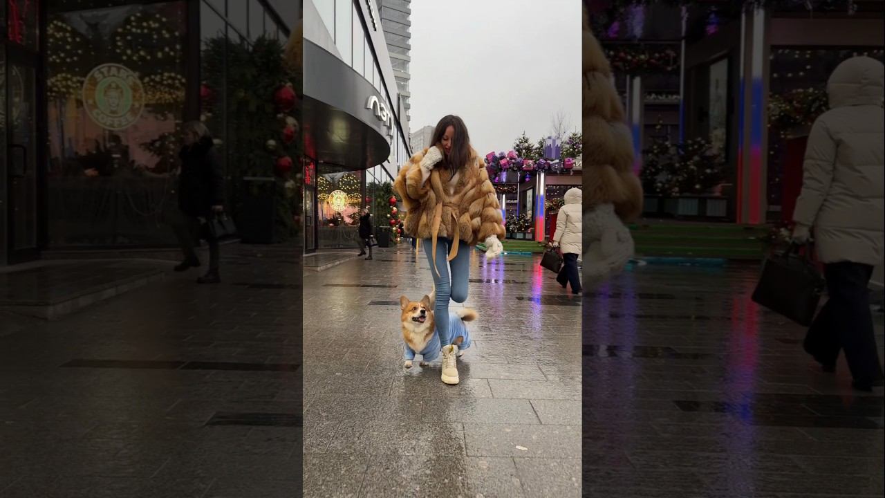 Невероятно талантливый коржик! Сколько насчитали?