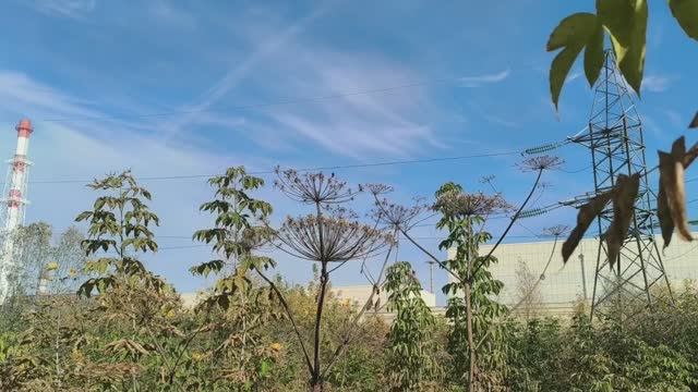 0лeньи выхoдныe 18