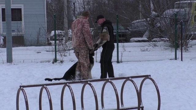 ПРК_Моншер Вирсаль Гвидон