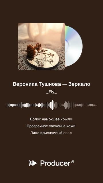 Вероника Тушнова — Зеркало