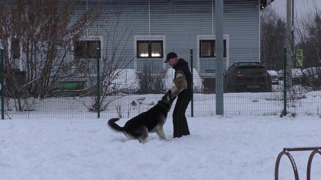 ПРК_МВ Гвидон лобовая перепуск