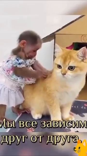 Давайте жить дружно 😉