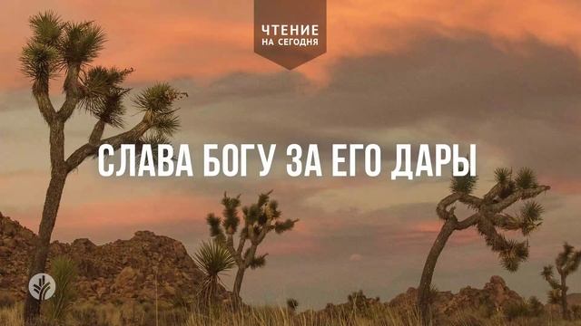 СЛАВА БОГУ ЗА ЕГО ДАРЫ 	| Ежедневное христианское чтение |	11	  января 2026