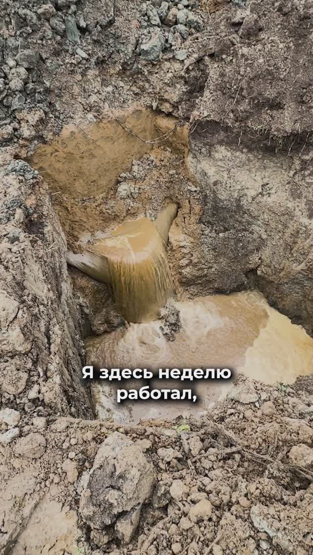 А летом было всё иначе))) плохой участок #командакравченко #shorts #short