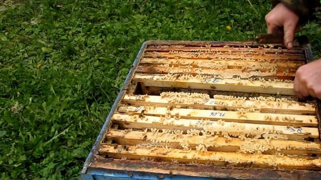 Развитие слабого отводка. Сборка гнезда. Часть 10