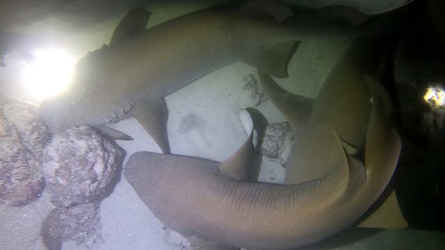 Мальдивы Няньки