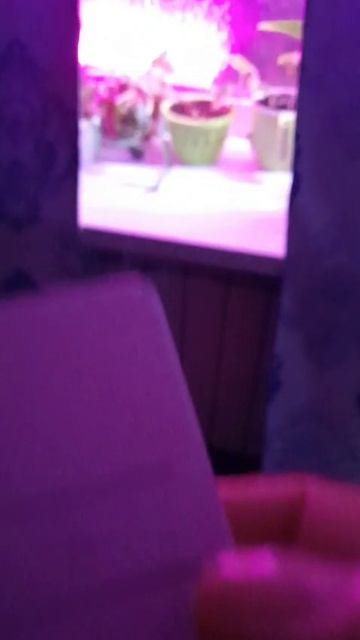 Сергей Михайлович из Нарьян-Мара