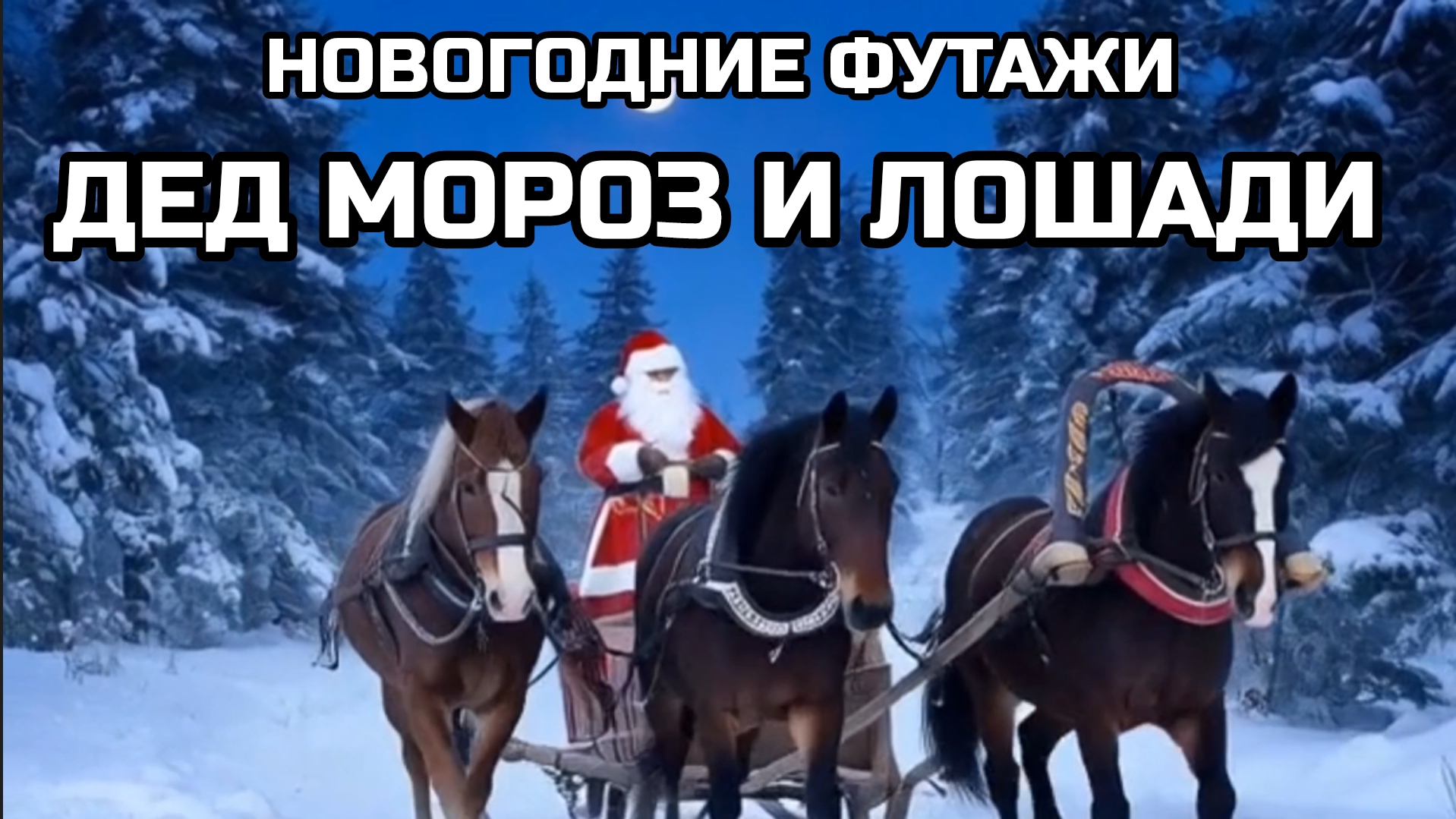 ДЕД МОРОЗ И ЛОШАДИ анимация. НОВОГОДНИЕ ФУТАЖИ.