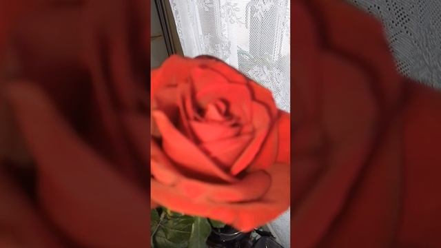 Муж мне  подарил за просто так, порадовать просто, такая красота 🥰