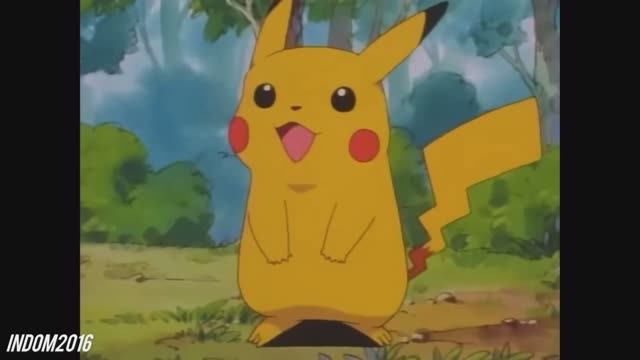 Pikachu Tribute Cascada - Miracle