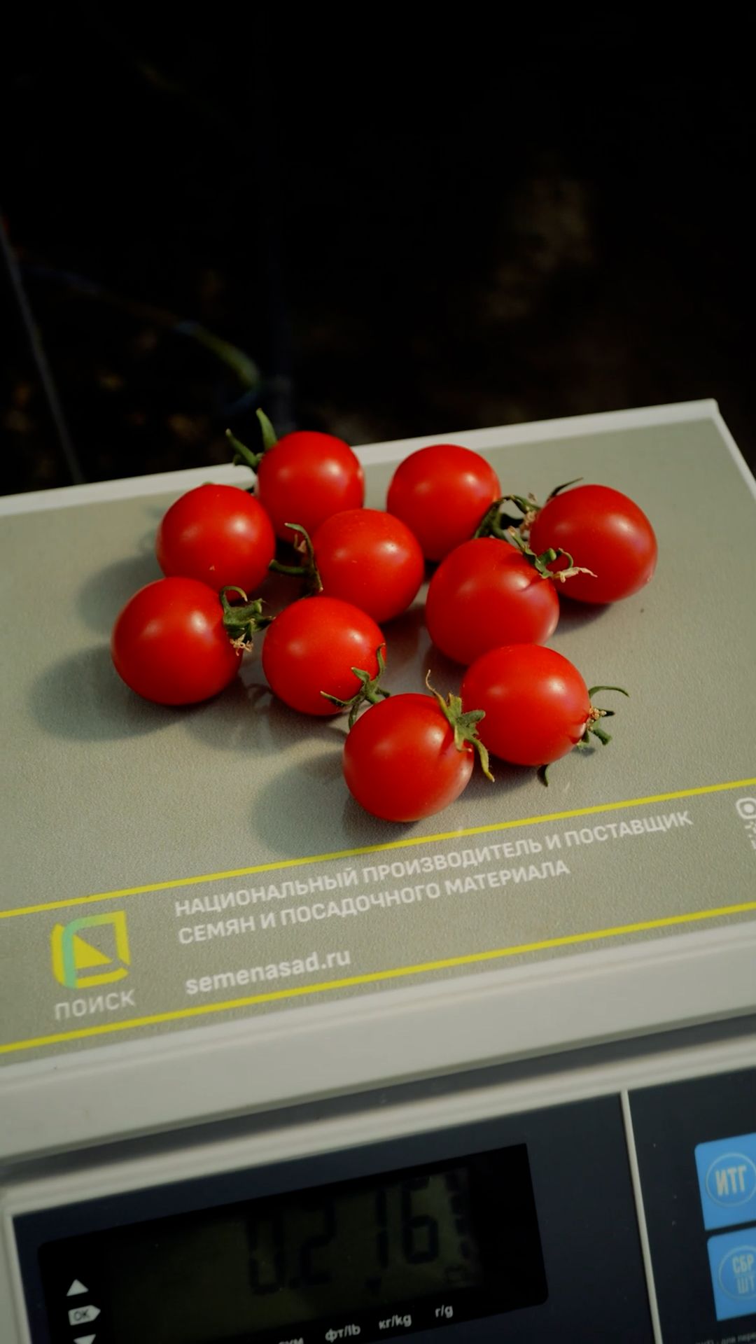 Этот черри ДОСТОИН каждого участка!