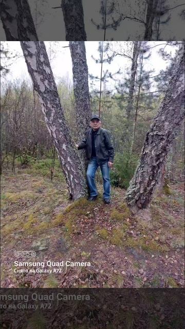 Лес поздней осенью. Москвички на пикнике.