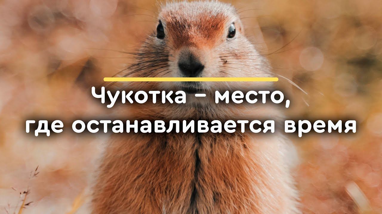 Чукотка – место, где останавливается время ⌛