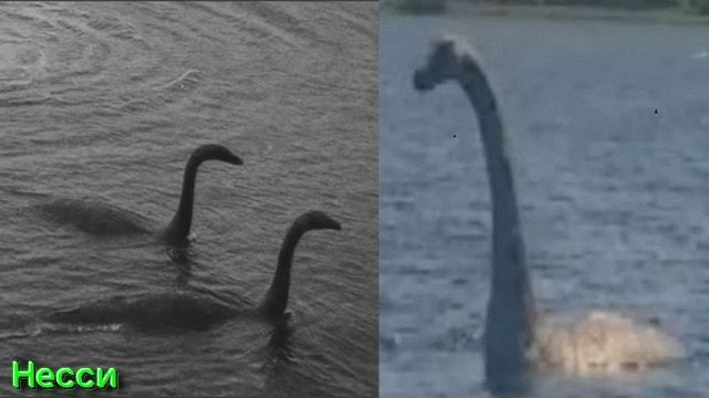 Разбор Терминов Волшебной Культуры от 29.12.26