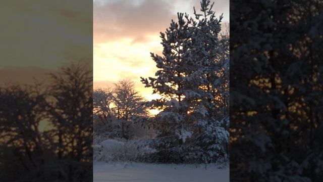 №102 Гармонизация и балансировка потоков создающих жизненные силы