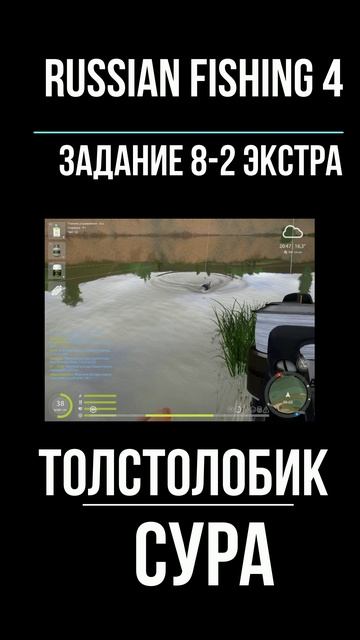 Задание 8-2 Экстра. Поймать Толстолобика. р. Сура. Russian Fishing 4