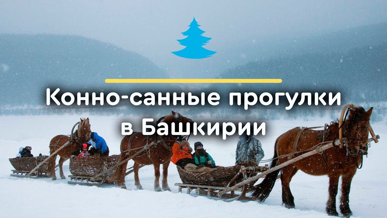 Конно-санные прогулки в Башкирии