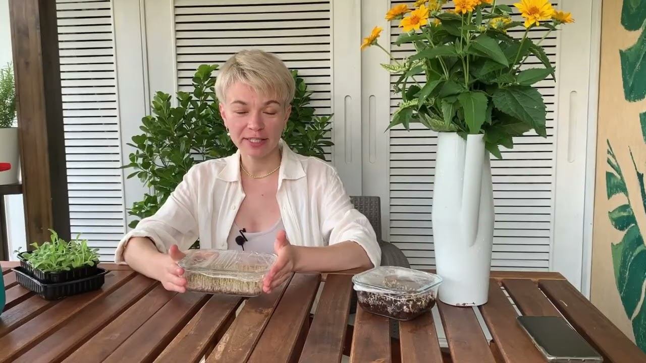 Магия Микрозелени. Урок 5. Выращиваем на коврике.