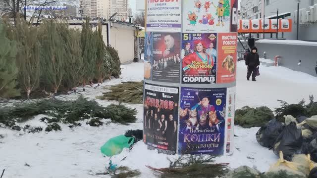 Елочный базар недалеко от моего дома.🌲Челябинск