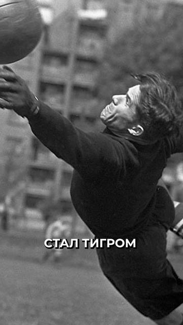 😳 Лев Яшин: за что лучшего вратаря страны прозвали Черным Пауком
