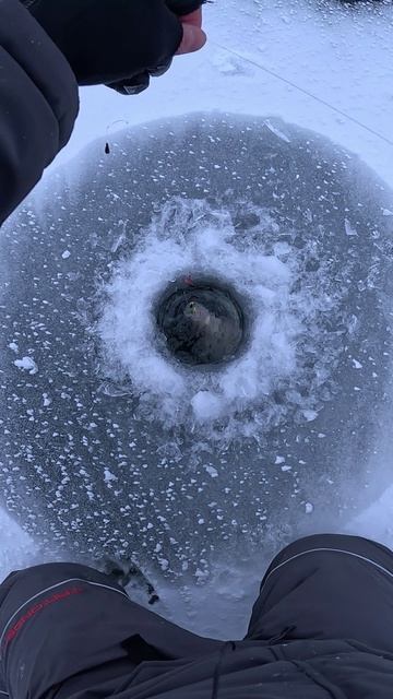 ВОДОХРАНИЛИЩЕ РАЗДАЁТ...