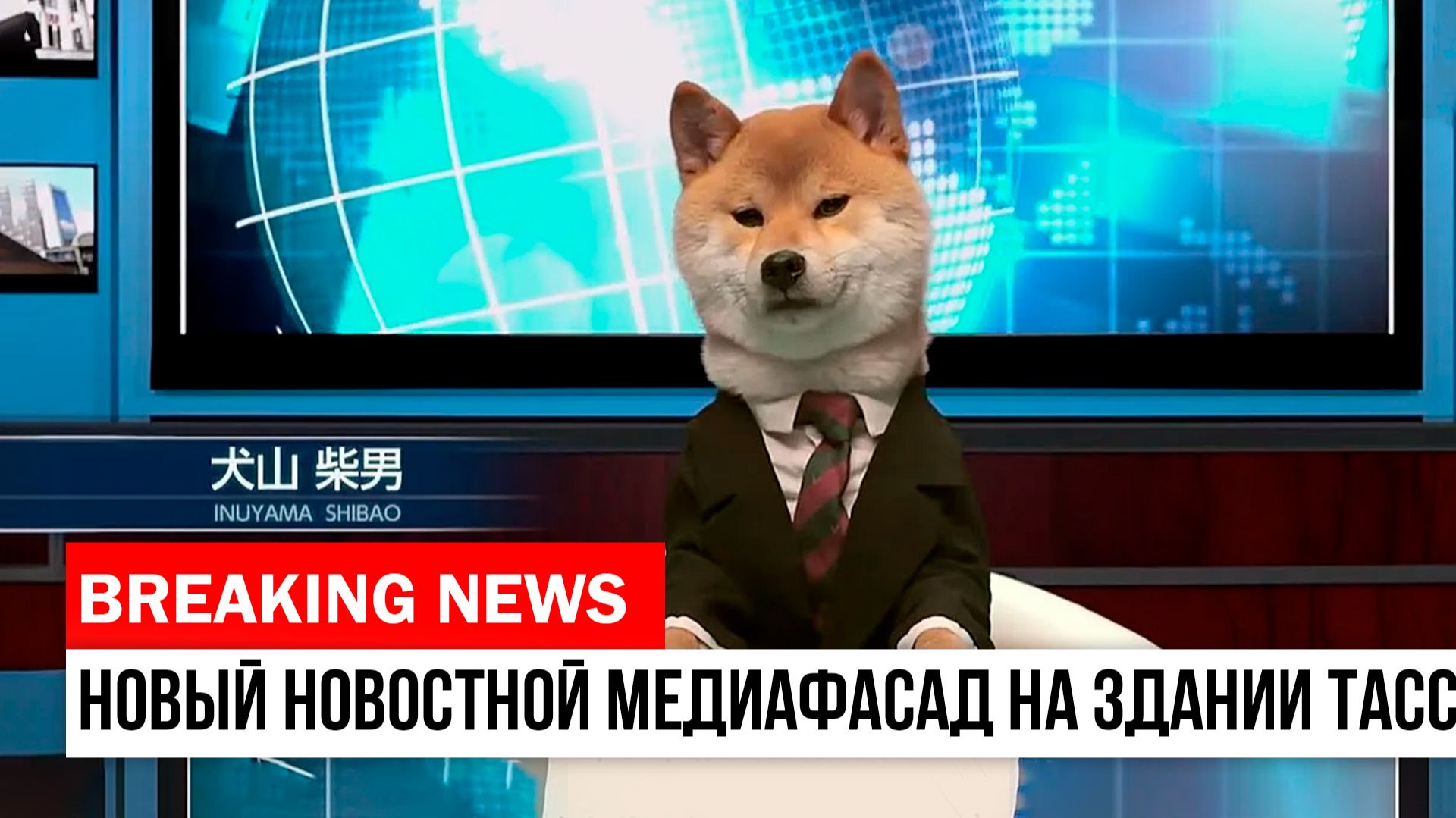 Новостной медиафасад на здании ТАСС ｜HD LED TECH