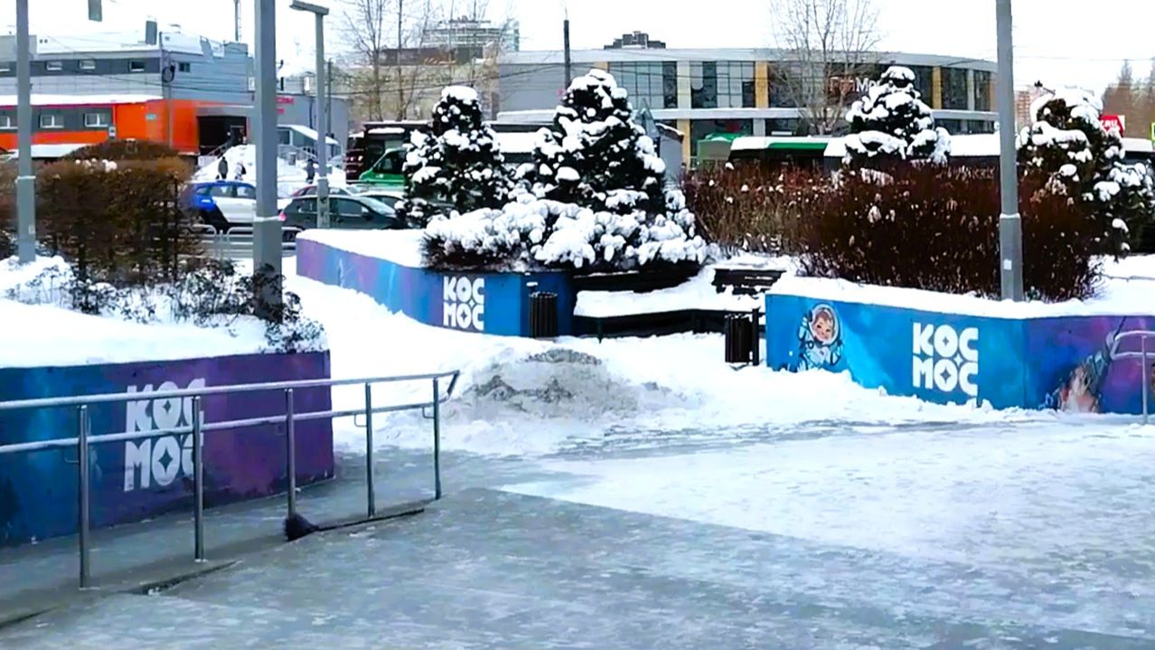 Зимняя красота. Ёлочки перед ТРК "Космос"