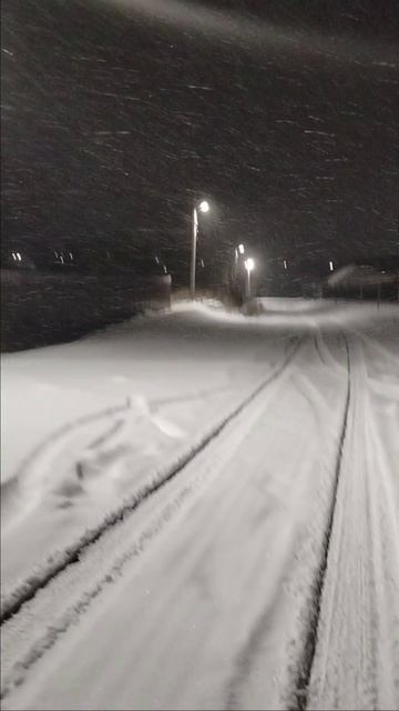 С наступающим новым годом!