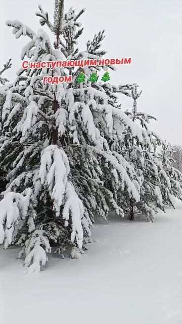 С наступающим новым годом 🎄🎄🎄