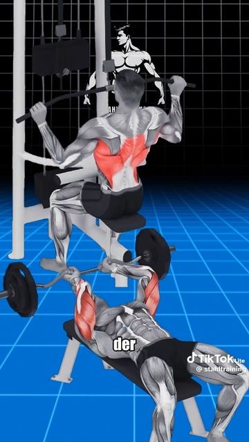 v24025gl0000d55bg7fog65vu9t78hgg