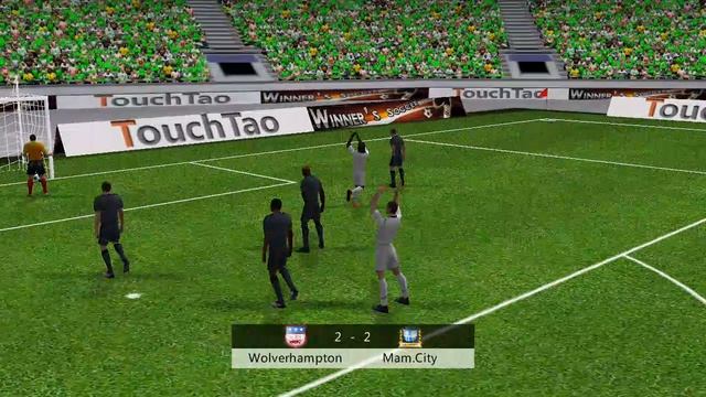 АПЛ. 18 раунд. Вулверхэмптон - Манчестер Сити (2-2).