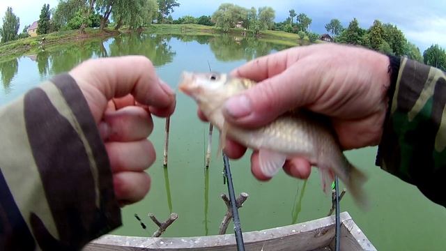 Ловля карася Кошачья радость