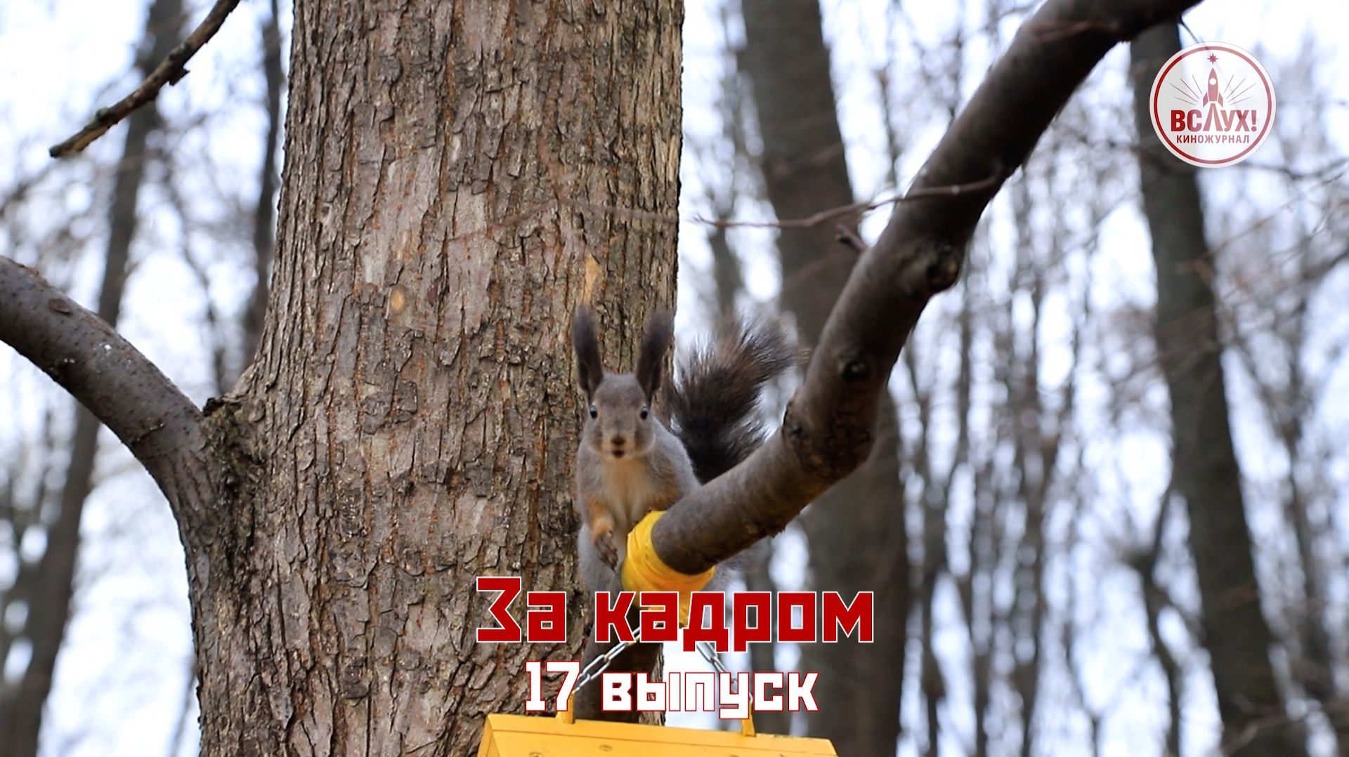 На съёмках семнадцатого выпуска победного сезона киножурнала «ВСЛУХ!»