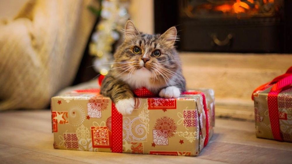 Ил-20 открывает новогодние коробки :)